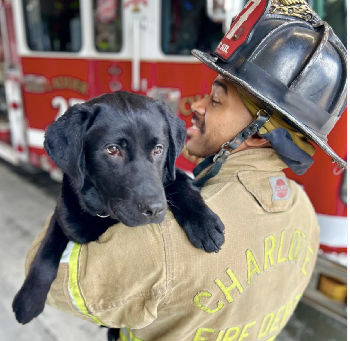 News — K9 Responder Academy